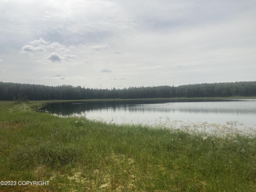 Wasilla Acreage Off Market nhn Copperspike Street AK #3393586